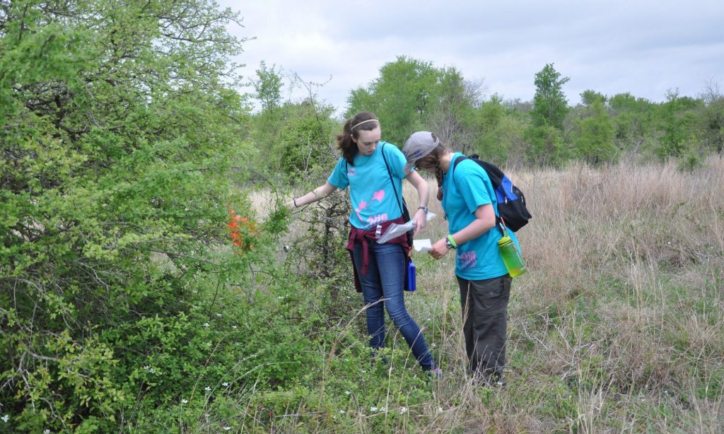 Central Texas Spring-O – Scout Orienteering Challenge